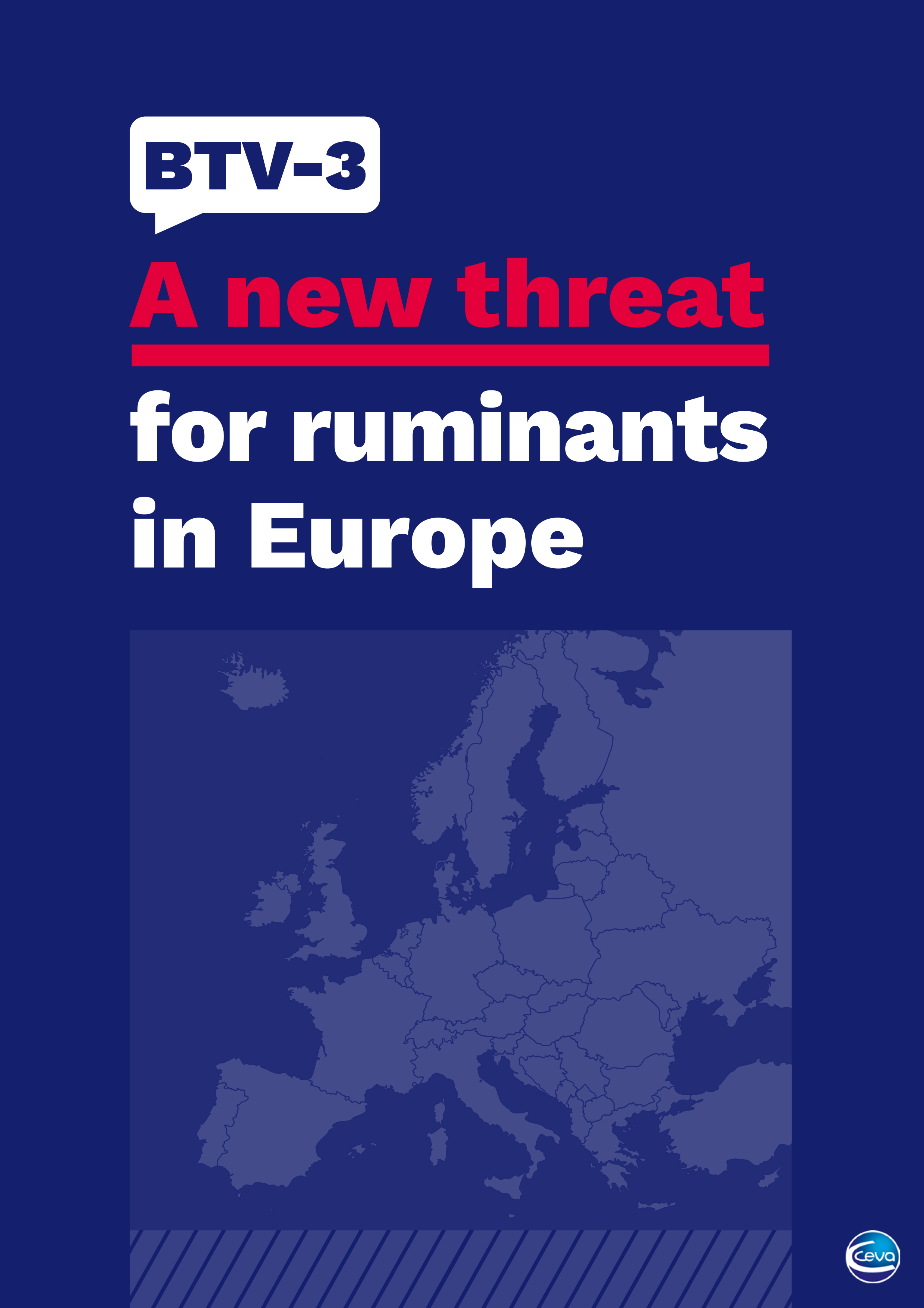 BTV-3: a new threat for ruminants in Europe